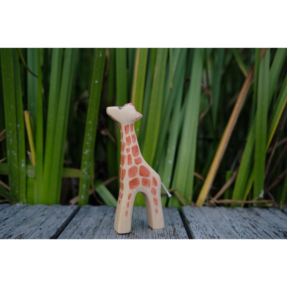 Giraffe small, 15,13